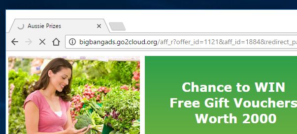 Remove Bigbangads.go2cloud.org Redirect (Virus Removal Guide)