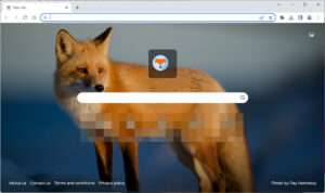 How To Remove Foxy Tab [Virus Removal Guide]