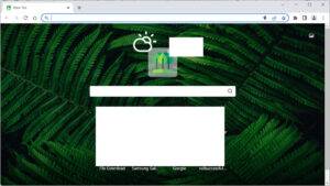 How To Remove Nature Extension [Virus Removal Guide]