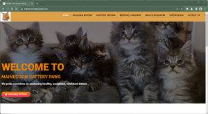 MaineCoonCatteryPaws.com Exposed: Inside The Cat Scam