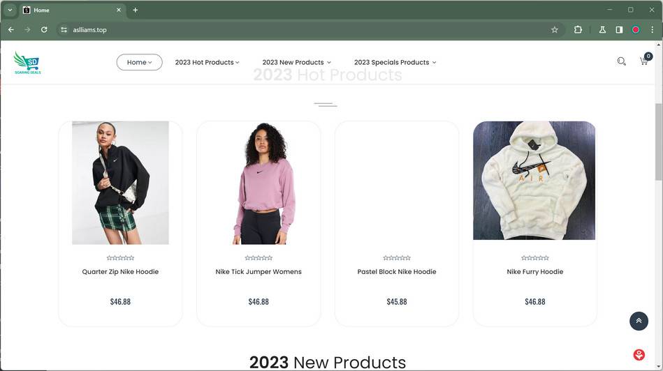 Think Twice Before Using Aslliams.top - Scam Risks