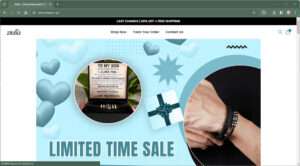 Ziella.shop Scam Store: What You Need To Know