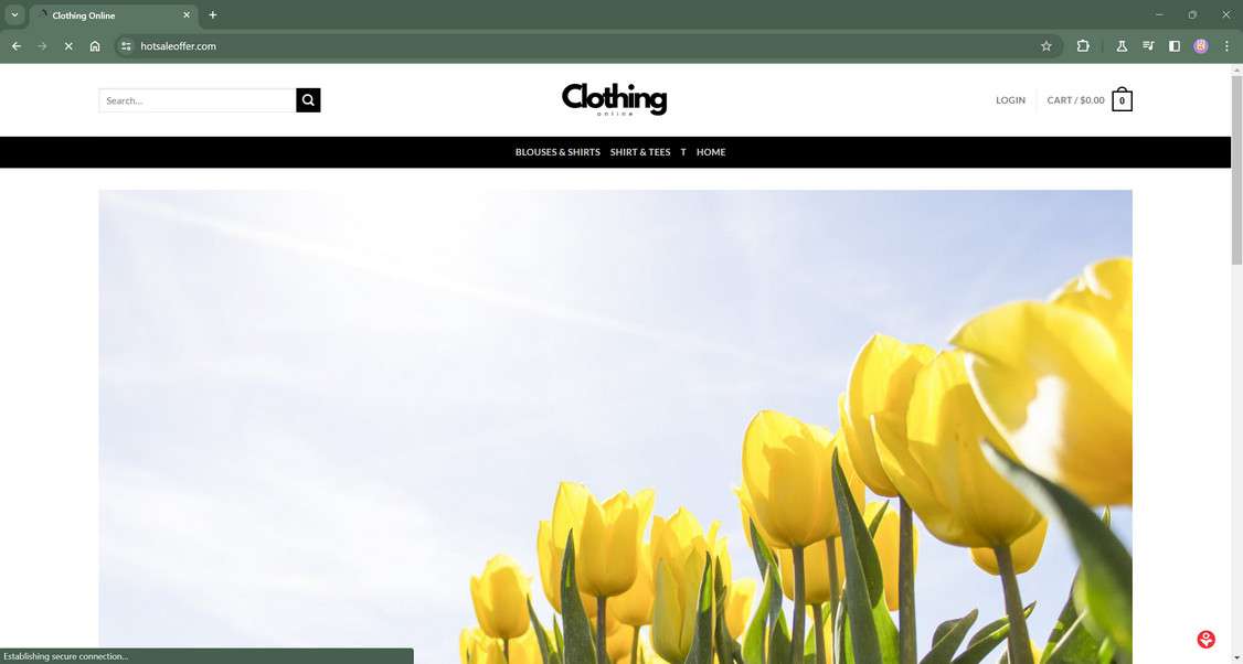 HotSaleOffer.com Scam Store: What You Need To Know