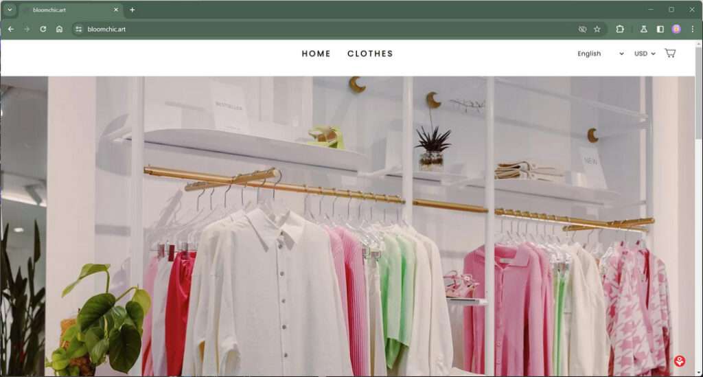 Don't Ever Trust Bloomchic.art - Confirmed Scam Store