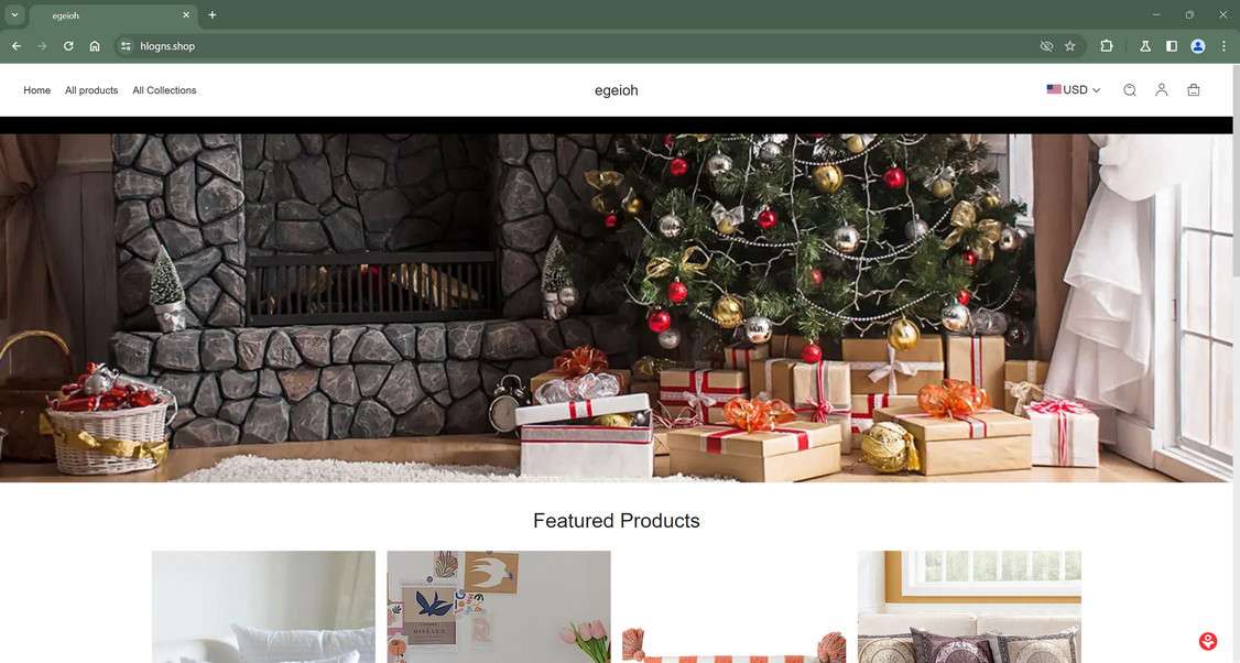 Hlogns.shop Scam Store - Total Ripoff, Stay Away