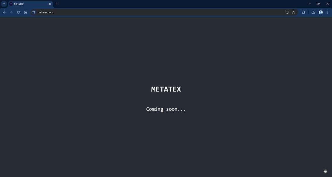 The Truth On Metatex.com: Our Crypto Con Breakdown