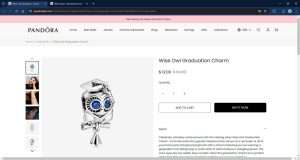 Don't Be Scammed By Fake 90% Off Pandora Clearance Sales