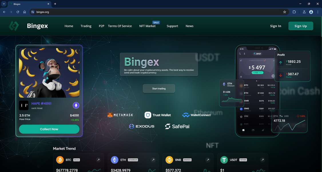 Bingex Crypto Scam - Our Breakdown Of This Crypto Con