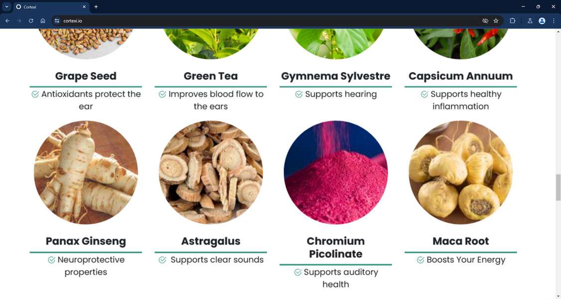 We Looked At The Evidence: Is Cortexi Legit Or Scam? Read This