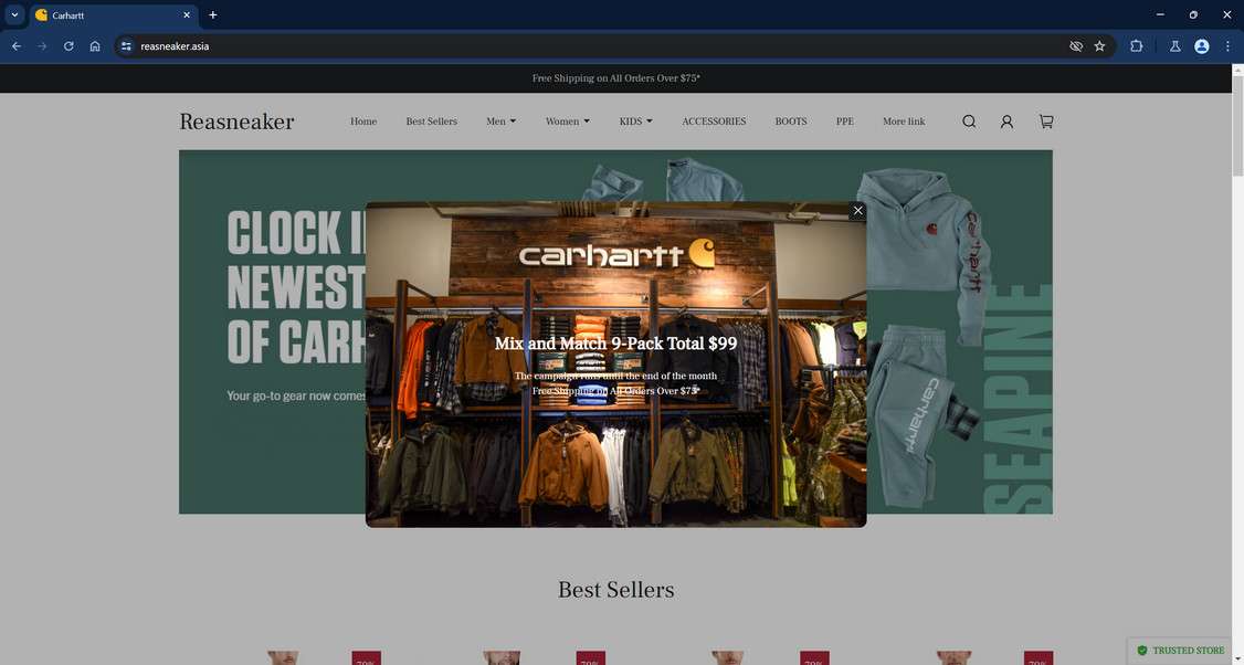 Reasneaker.asia Scam Store: What You Need To Know