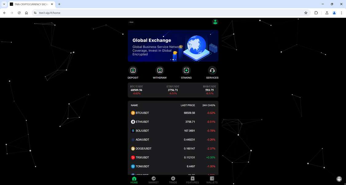 TNN1.Vip Crypto Scam - Read Our Findings Here