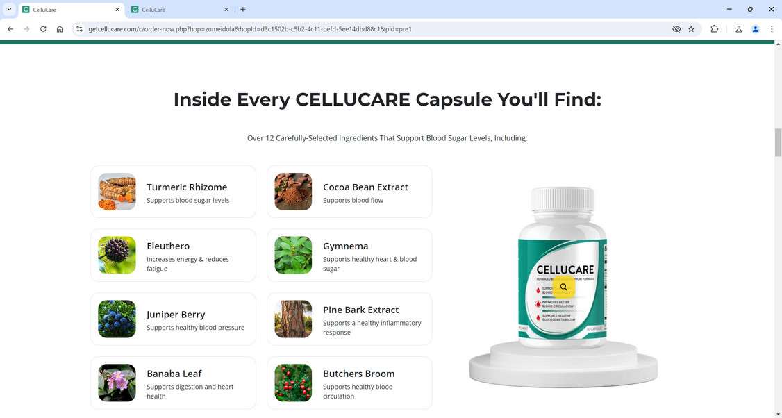 CelluCare Blood Sugar Supplement: Miracle Pill Or Scam?