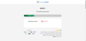 Should You Buy TorqueBall? We Looked At The Facts - Read This