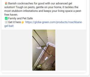 RoachBane Gel Bait - Scam Or Legit? Read This Before Buying It ...