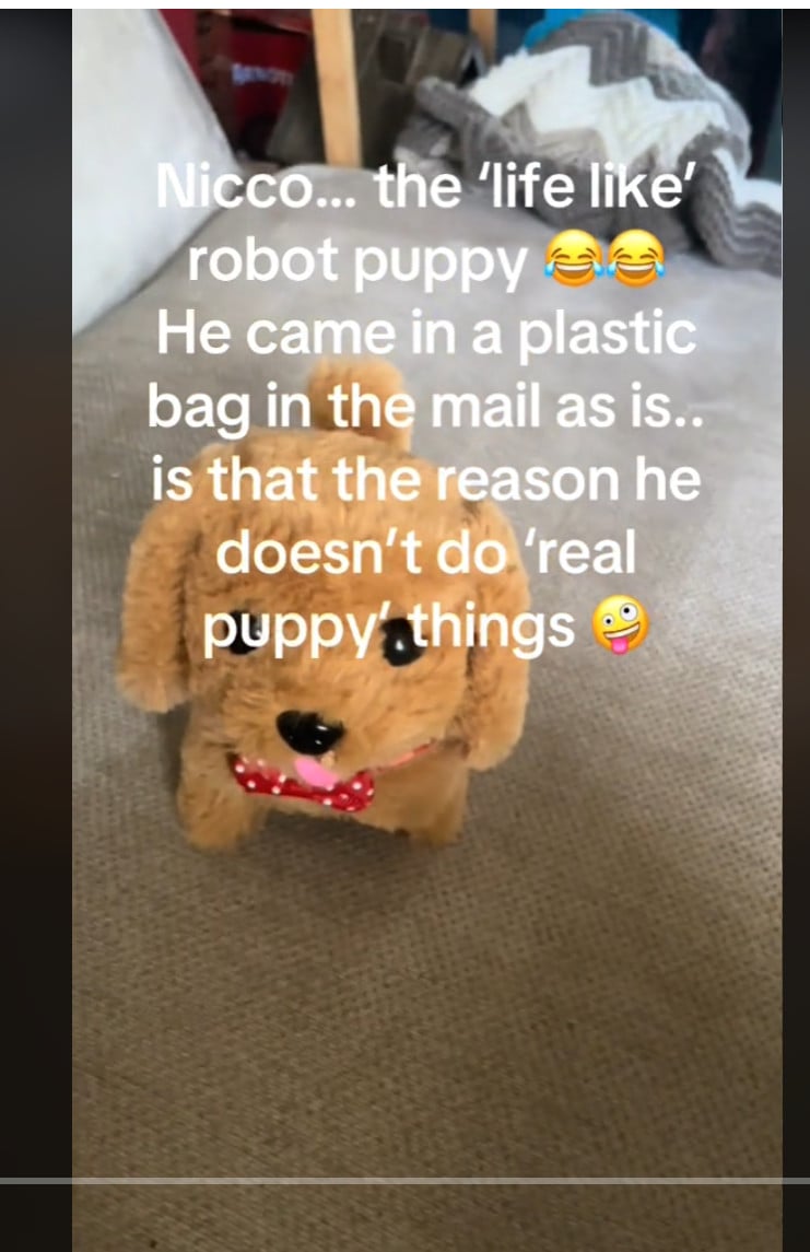 NICOO Realistic Robot Puppy - Scam Or Legit? Read This