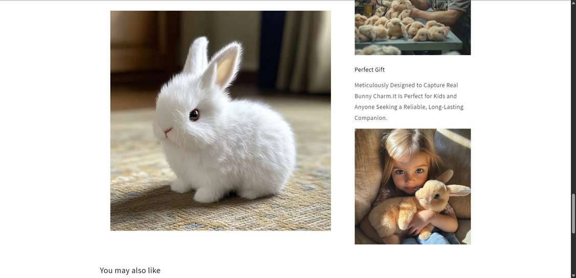 Yifare BunnyPal - Scam Or Legit? Read This Before Buying It