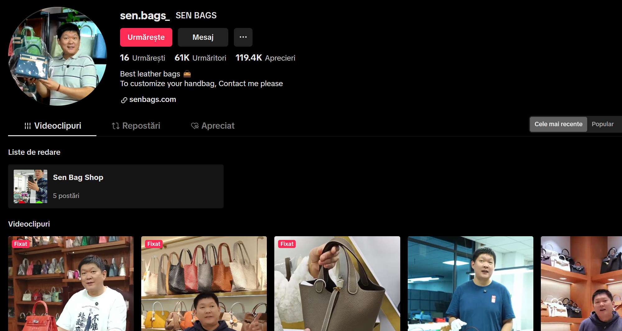 Wang Sen TikTok Handbags: Inside The Viral SenBags Controversy And Red ...