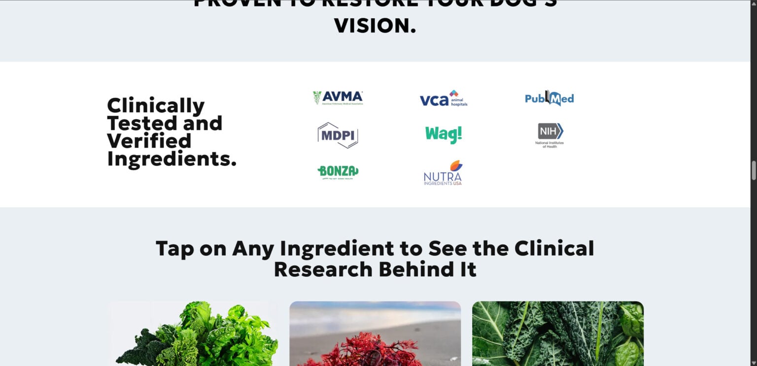 Aura Pets Nano Drops Review: Scam Or Real Vision Cure For Dogs?