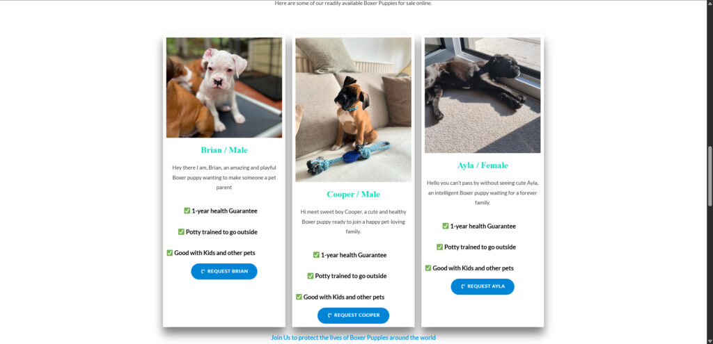 Beware Of Puppy Scams: The Ultimate Guide To Safe Online Pet Adoption