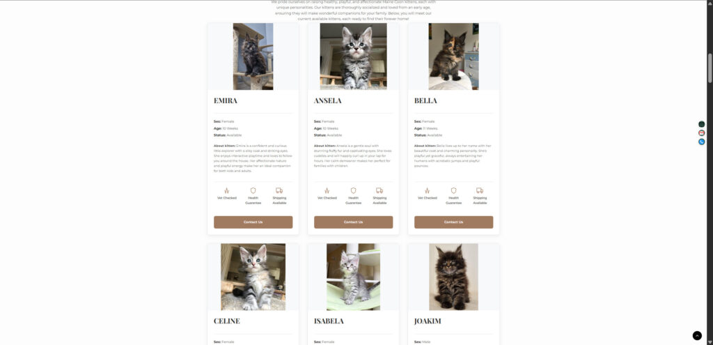 Beware Of Kitten Scams: The Ultimate Guide To Safe Online Cat Adoption