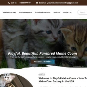 Gracestitch.com Scam Store: What You Need To Know