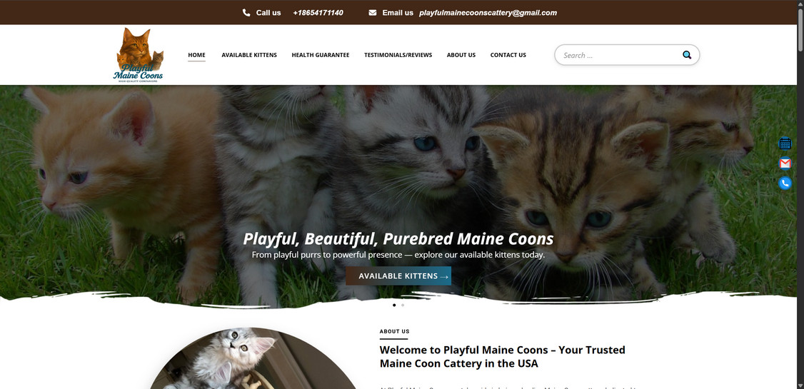 Beware Of Kitten Scams: The Ultimate Guide To Safe Online Cat Adoption