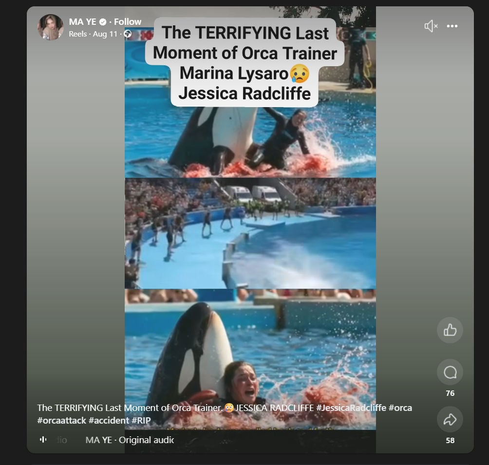 Jessica Radcliffe Orca Attack Video: Truth Behind The Viral Hoax Explained