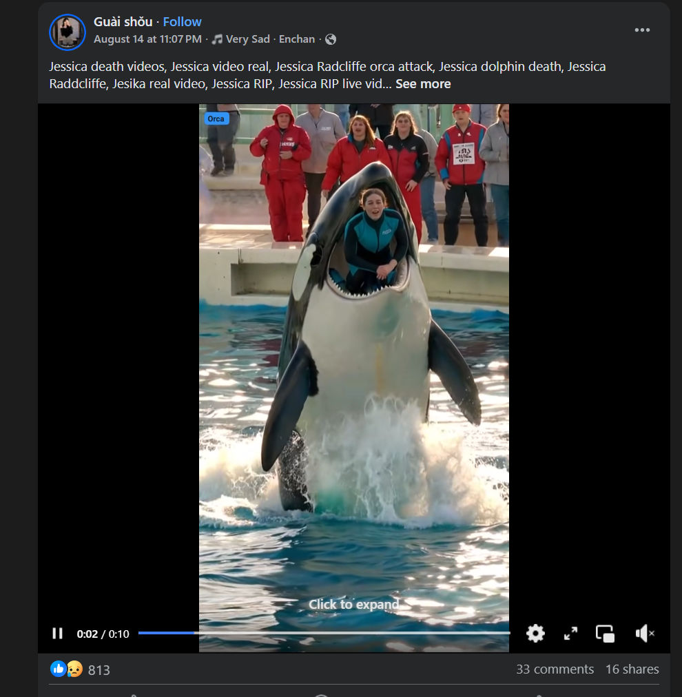Jessica Radcliffe Orca Attack Video: Truth Behind The Viral Hoax Explained