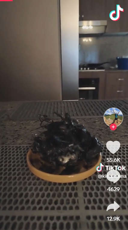 Panama Meteorite Viral Video Explained: Venom Symbiote, Fungus, Or Hoax?