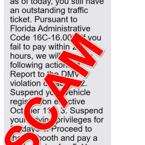 Victim Of The Elmusk.bet Scam? Read Our Findings Here